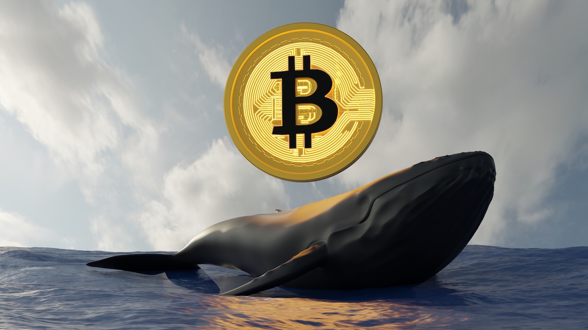 ビットコイン、11万7000ドル超えまで反発──ギャラクシーが古株クジラの約1兆3300億円相当のBTC売却を完了後 | CoinDesk ...